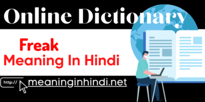 Freak meaning in Hindi -फ्रिक का हिंदी अर्थ